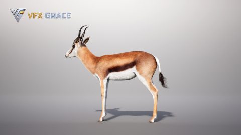 Springbok Animated - UE Character Asset | VFX Grace
