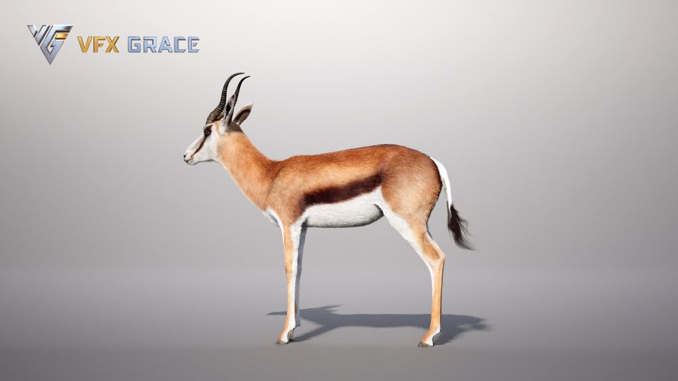 Springbok Animated - UE Character Asset | VFX Grace