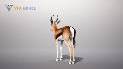 Springbok Animated - UE Character Asset | VFX Grace