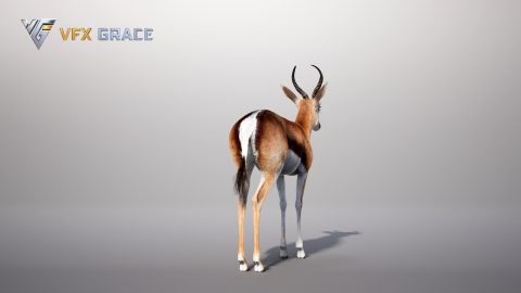 Springbok Animated - UE Character Asset | VFX Grace
