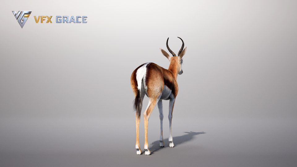 Springbok Animated - UE Character Asset | VFX Grace