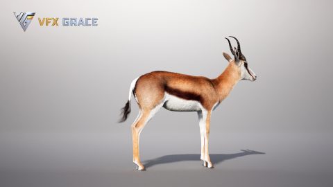 Springbok Animated - UE Character Asset | VFX Grace