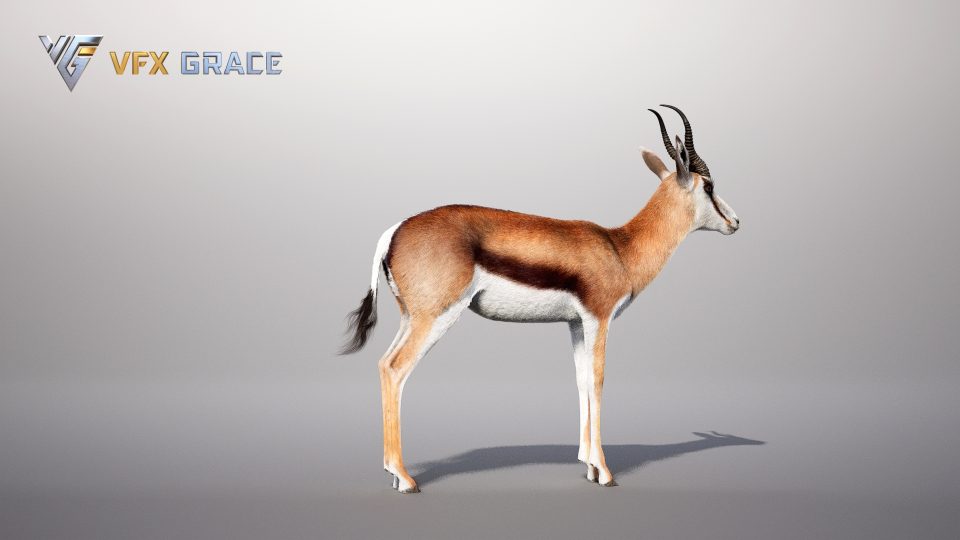 Springbok Animated - UE Character Asset | VFX Grace