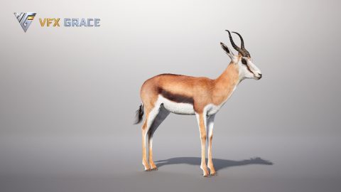 Springbok Animated - UE Character Asset | VFX Grace