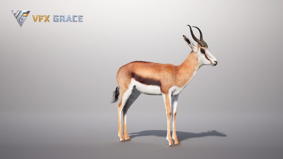 Springbok Animated - UE Character Asset | VFX Grace