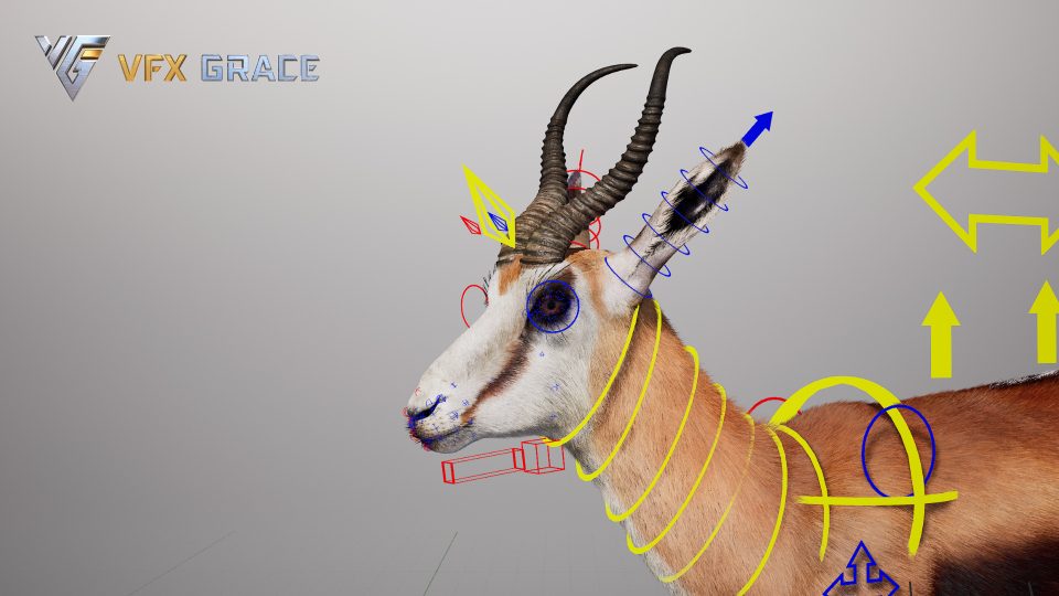 Springbok Animated - UE Character Asset | VFX Grace