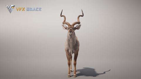 Greater Kudu Male Animated - UE Character Asset | VFX Grace