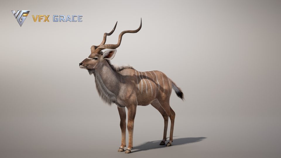 Greater Kudu Male Animated - UE Character Asset | VFX Grace