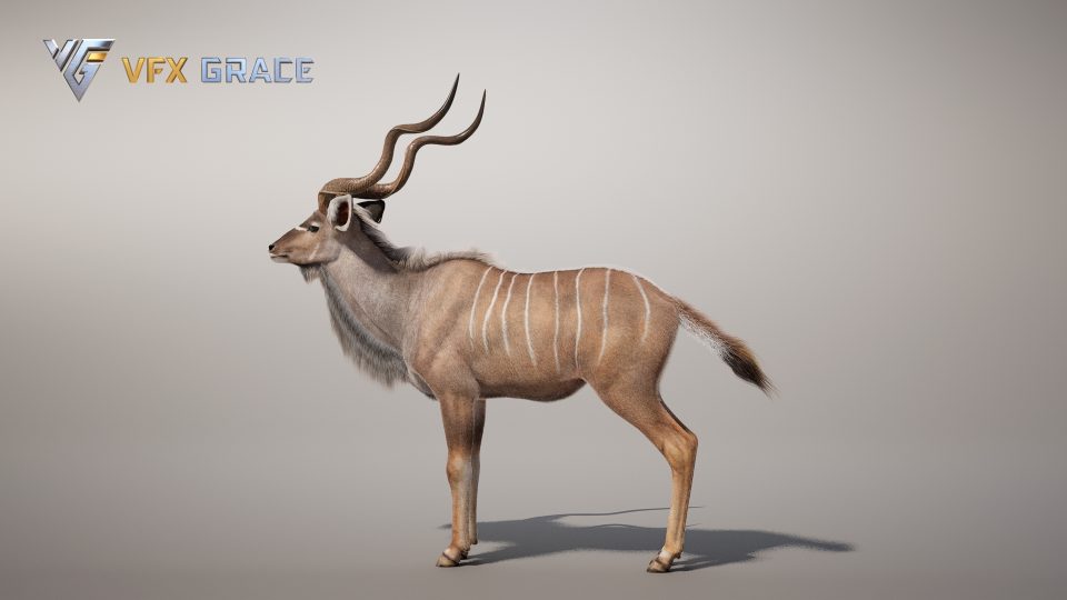 Greater Kudu Male Animated - UE Character Asset | VFX Grace