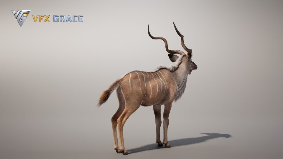 Greater Kudu Male Animated - UE Character Asset | VFX Grace