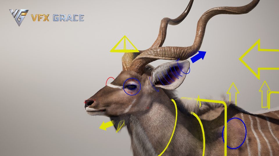Greater Kudu Male Animated - UE Character Asset | VFX Grace