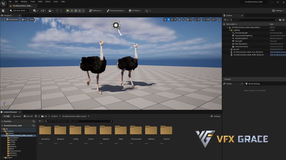 Ostrich Animated - UE Character Asset | VFX Grace