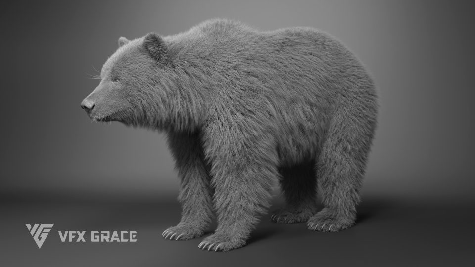 Female Brown Bear Animation - MAYA Character Asset | VFX Grace