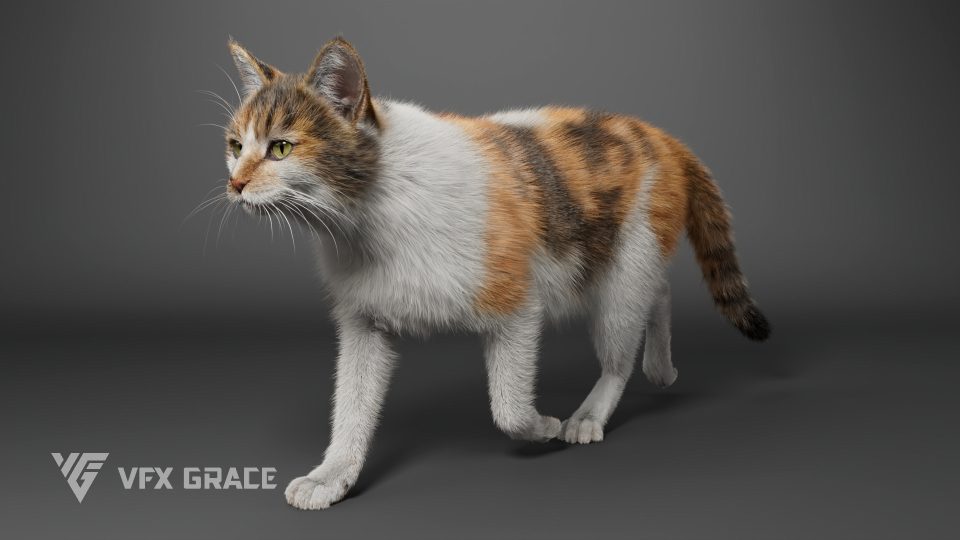 Calico Cat 01 Animation - MAYA Character Asset | VFX Grace