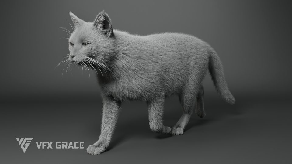 Calico Cat 01 Animation - MAYA Character Asset | VFX Grace
