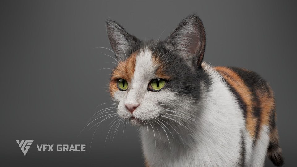 Calico Cat 02 Animation - MAYA Character Asset | VFX Grace