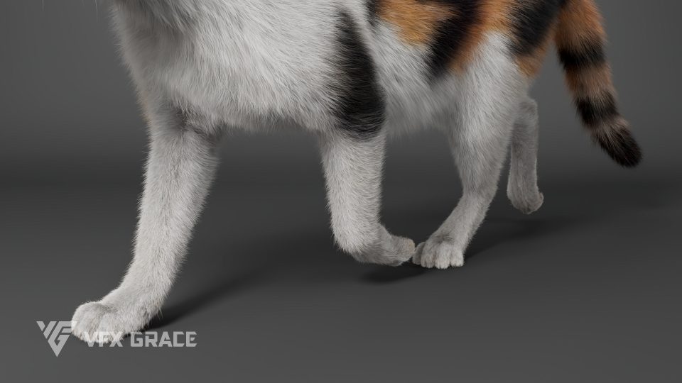 Calico Cat 02 Animation - MAYA Character Asset | VFX Grace