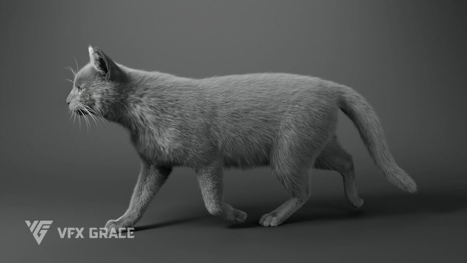 Calico Cat 02 Animation - MAYA Character Asset | VFX Grace