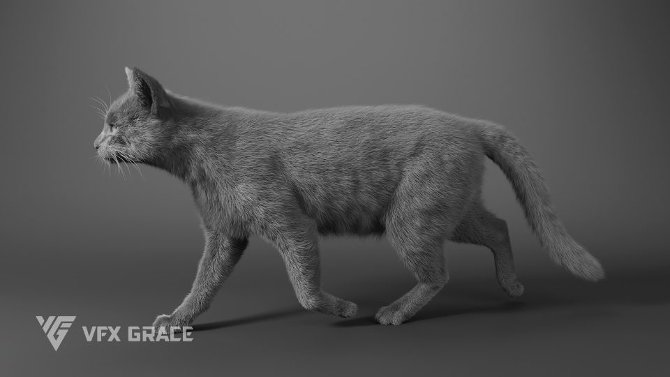 Grey Tabby Cat Animation - MAYA Character Asset | VFX Grace