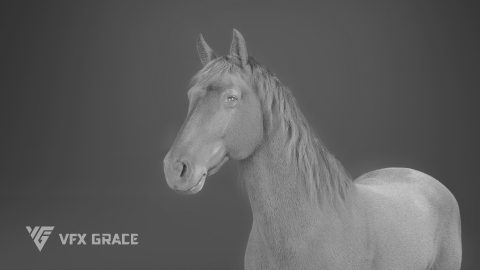 Brown Horse Animation - MAYA Character Asset | VFX Grace