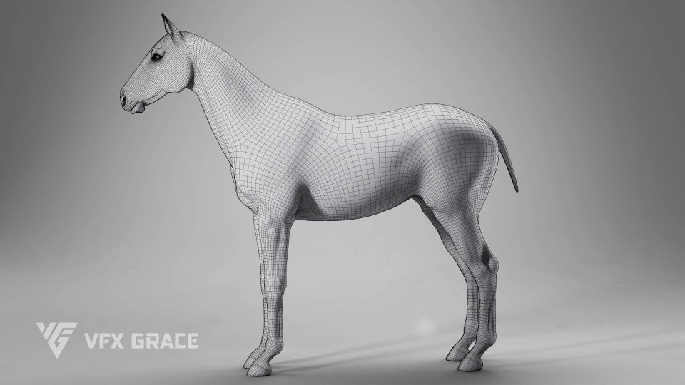 Brown Horse Animation - MAYA Character Asset | VFX Grace