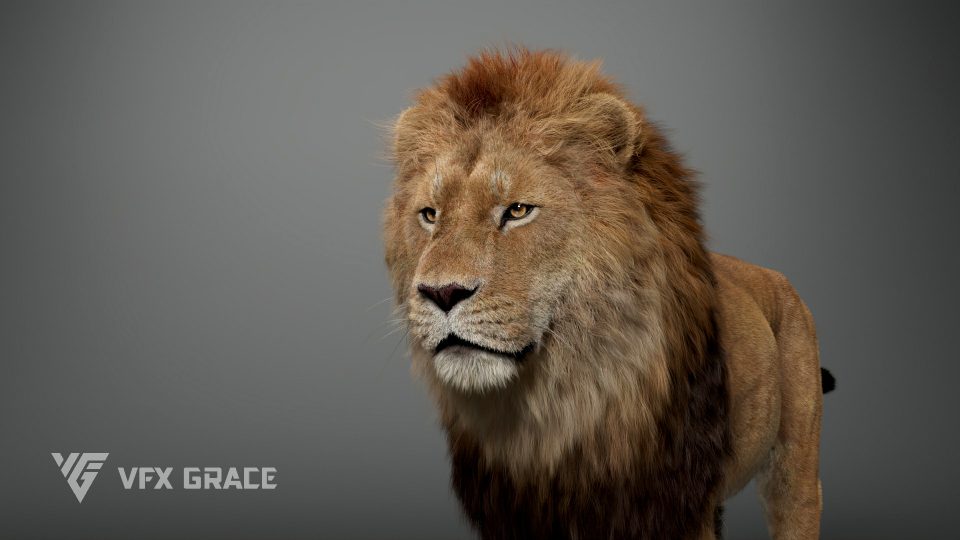 Lion Rig - MAYA Character Asset | VFX Grace