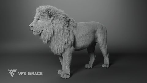 Lion Rig - MAYA Character Asset | VFX Grace