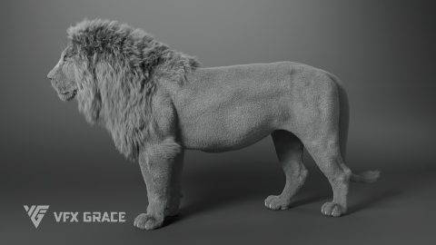 Lion Rig - MAYA Character Asset | VFX Grace