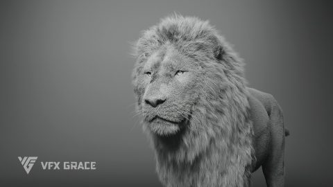 Lion Rig - MAYA Character Asset | VFX Grace