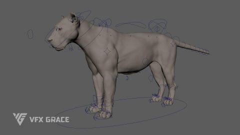 Lion Rig - MAYA Character Asset | VFX Grace