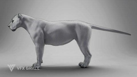 Lion Rig - MAYA Character Asset | VFX Grace