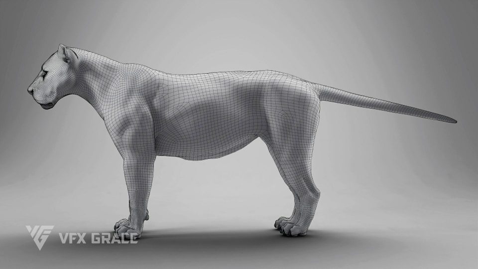 Lion Rig - MAYA Character Asset | VFX Grace