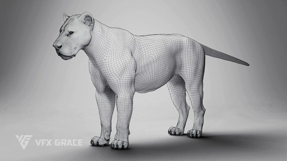 Lion Rig - MAYA Character Asset | VFX Grace