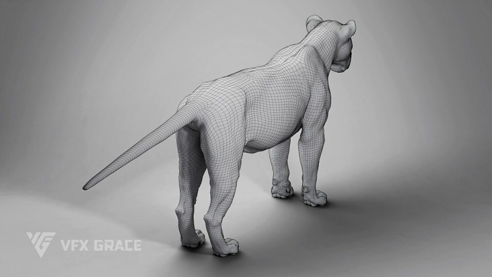 Lion Rig - MAYA Character Asset | VFX Grace