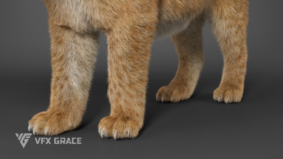 Lion Cub Animation - MAYA Character Asset | VFX Grace