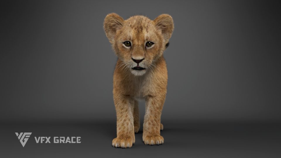 Lion Cub Animation - MAYA Character Asset | VFX Grace