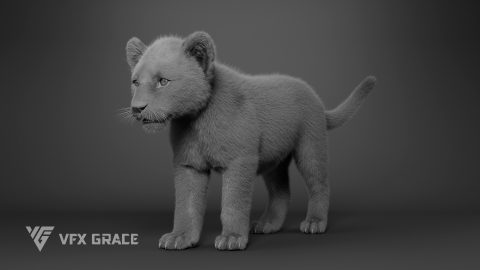 Lion Cub Animation - MAYA Character Asset | VFX Grace