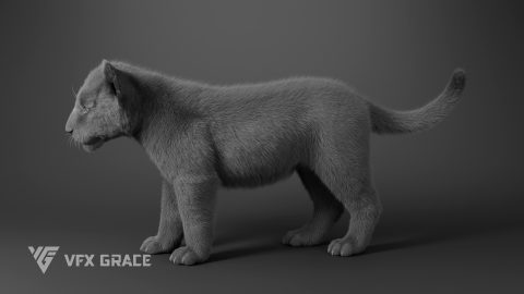 Lion Cub Animation - MAYA Character Asset | VFX Grace
