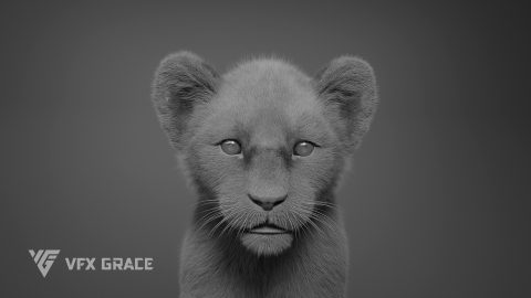 Lion Cub Animation - MAYA Character Asset | VFX Grace