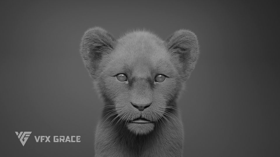 Lion Cub Animation - MAYA Character Asset | VFX Grace
