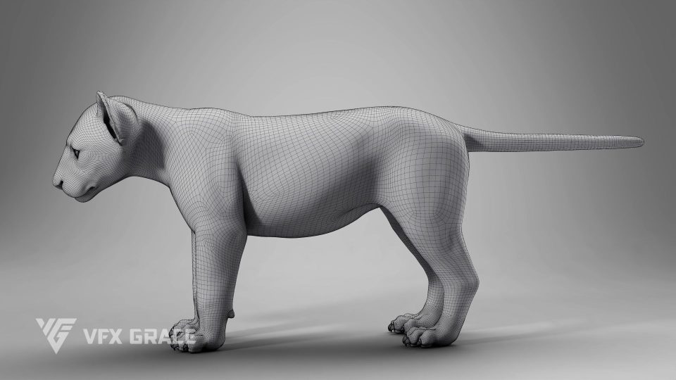 Lion Cub Animation - MAYA Character Asset | VFX Grace