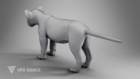 Lion Cub Animation - MAYA Character Asset | VFX Grace