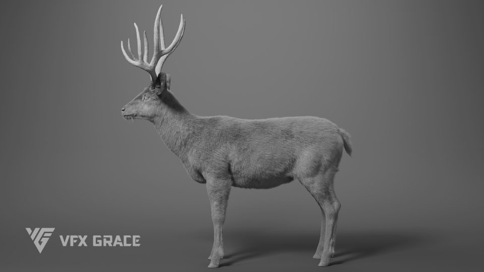 Mule Deer Animated - MAYA Character Asset | VFX Grace