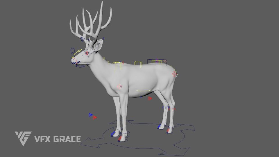 Mule Deer Animated - MAYA Character Asset | VFX Grace