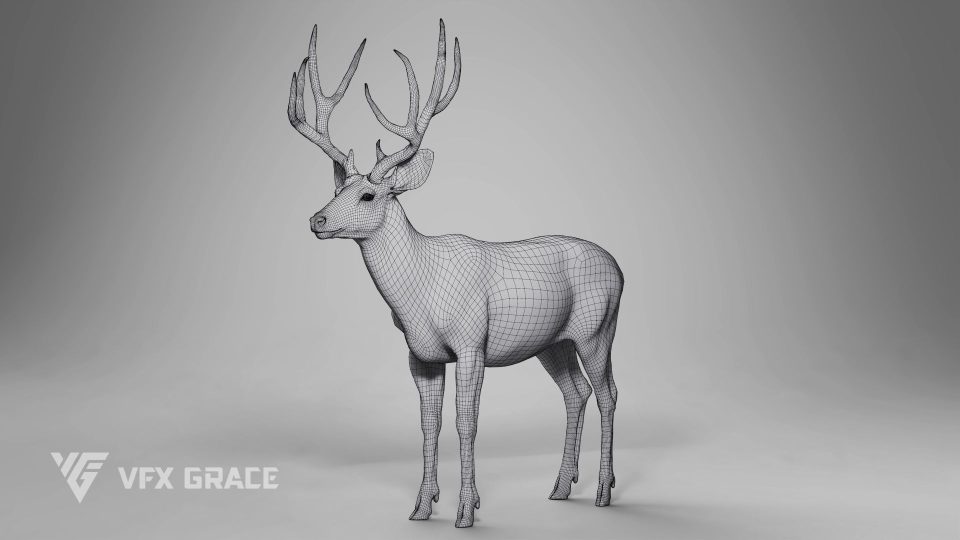 Mule Deer Animated - MAYA Character Asset | VFX Grace