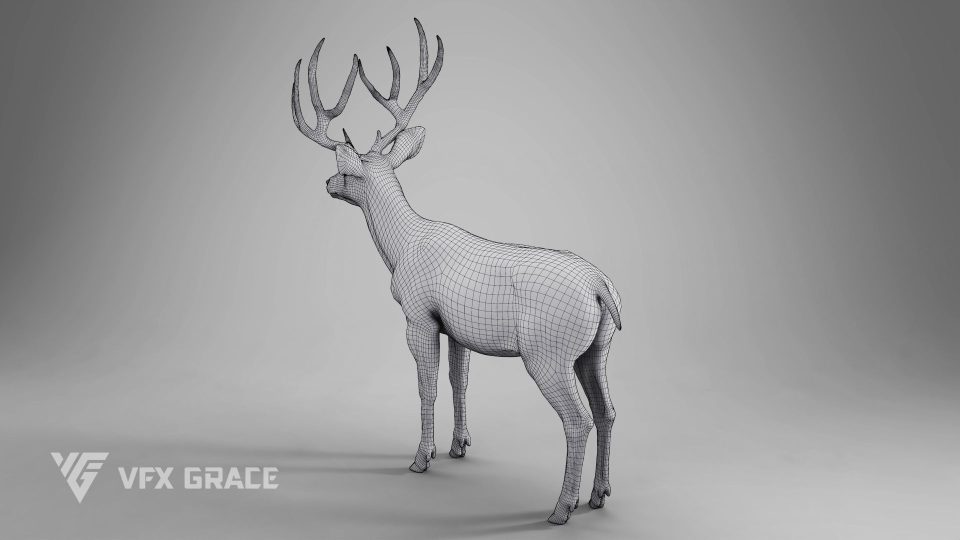 Mule Deer Animated - MAYA Character Asset | VFX Grace