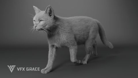 Orange Cat Animation - MAYA Character Asset | VFX Grace