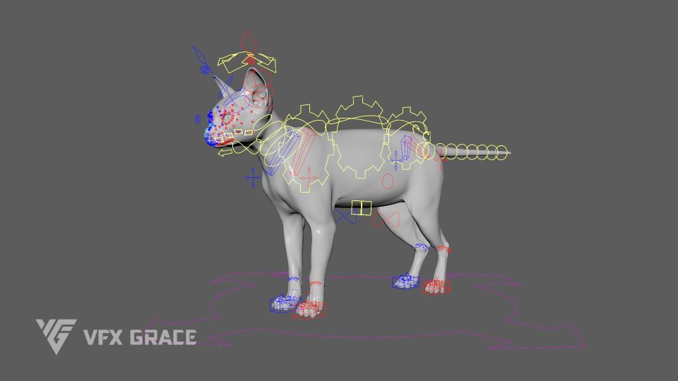 Orange Cat Animation - MAYA Character Asset | VFX Grace