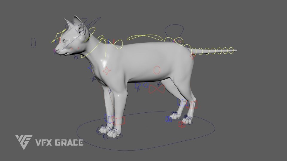 Orange Cat Animation - MAYA Character Asset | VFX Grace