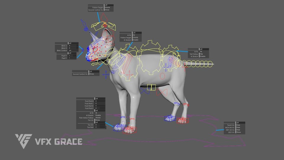Orange Cat Animation - MAYA Character Asset | VFX Grace
